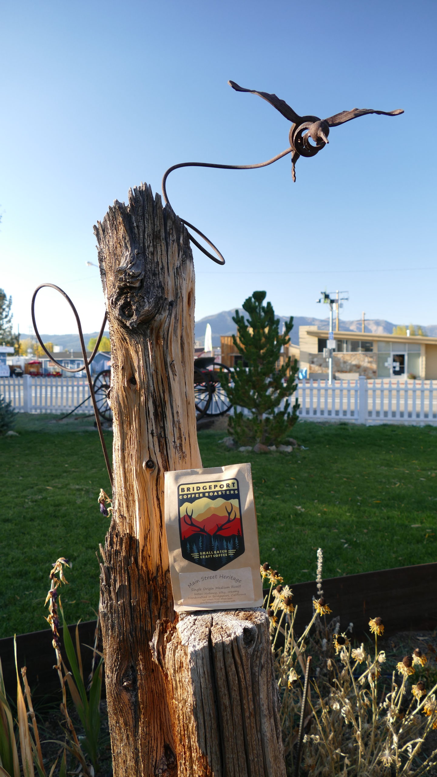 Bridgeport Coffee Roasters – Peak of Perfection